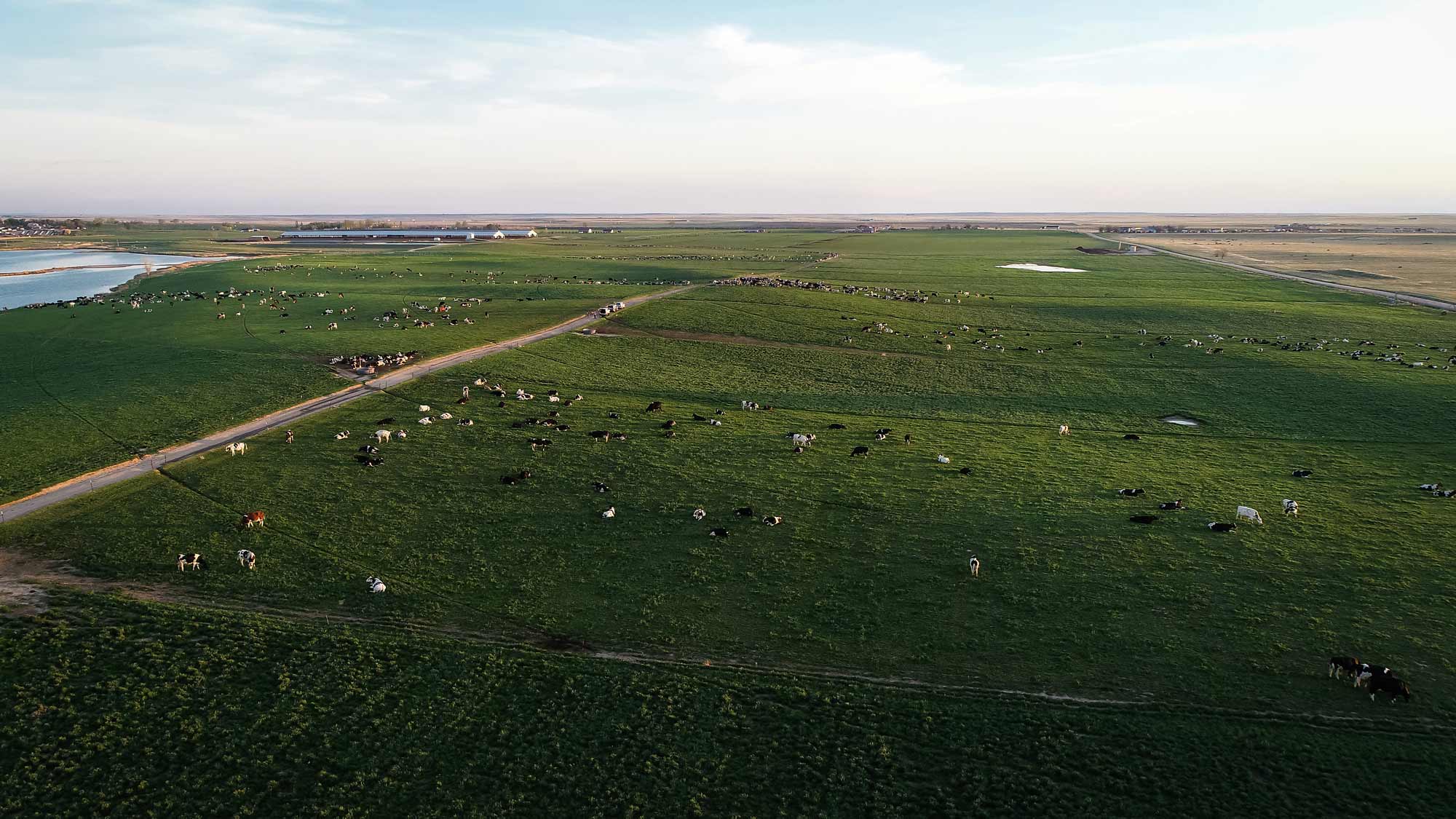 Gill, CO | Aurora Organic Dairy