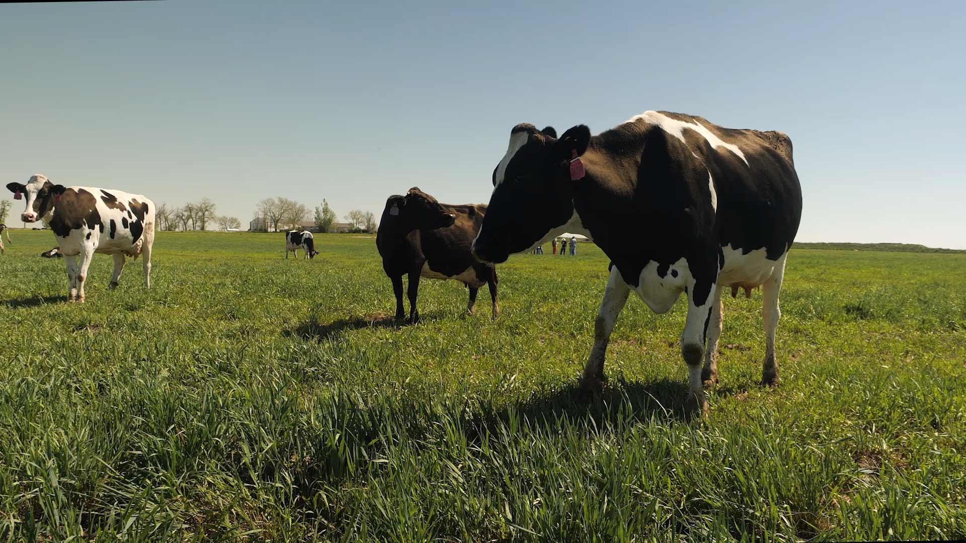 Aurora Organic Dairy | Products with integrity